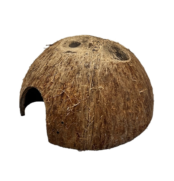 Galapagos Coco Cave – Bay Bridge Aquarium