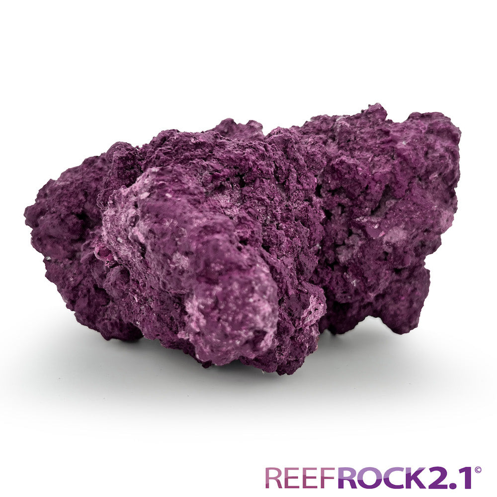 Fiji Reef Rock – Bay Bridge Aquarium