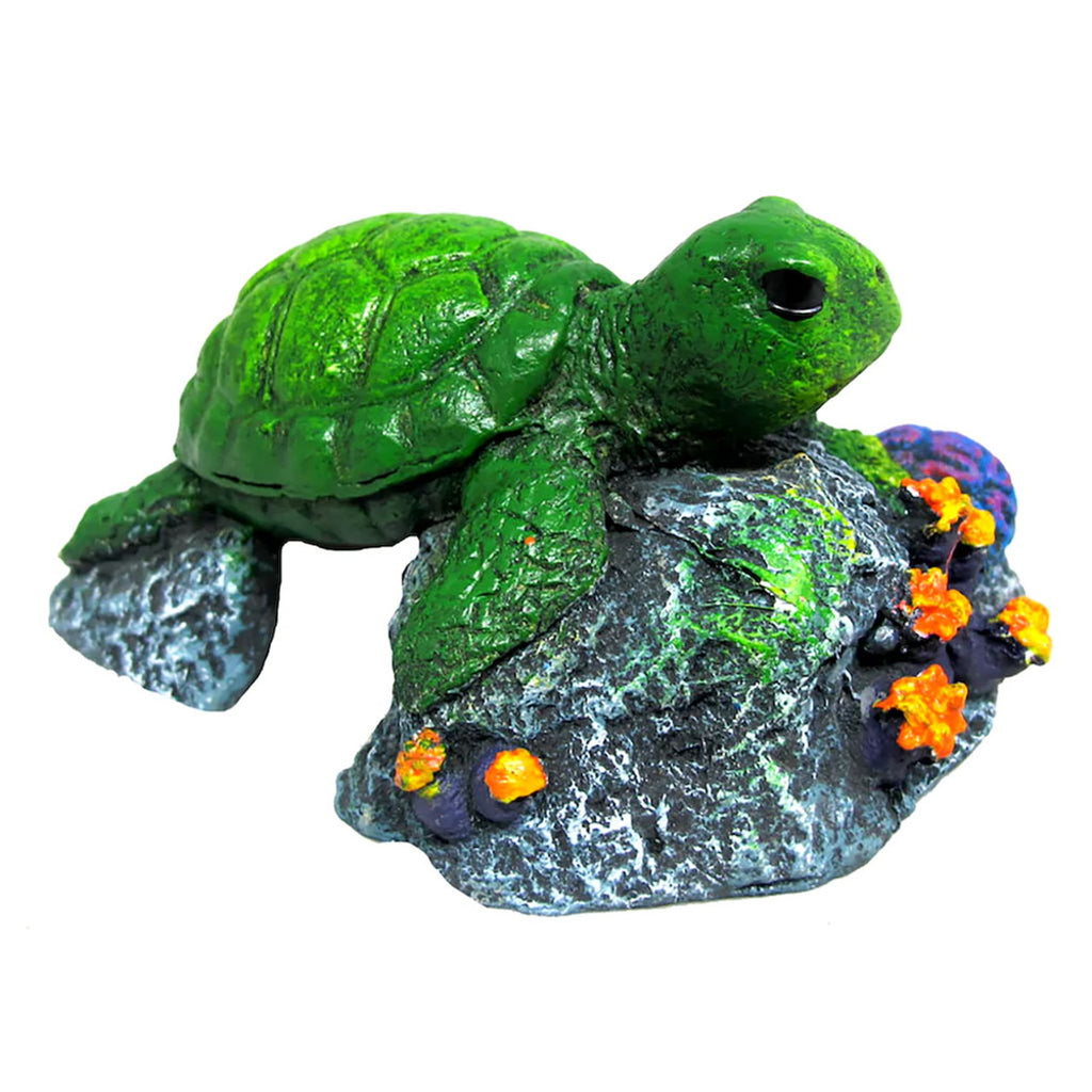 Marina Sea Turtle – Bay Bridge Aquarium