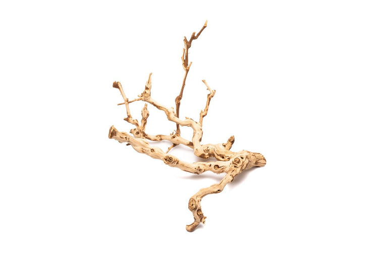 Grape Wood (Small) 8-14" – Bay Bridge Aquarium
