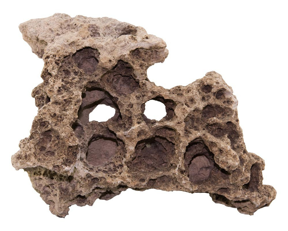 Estes Decorative Lace Rock – Bay Bridge Aquarium