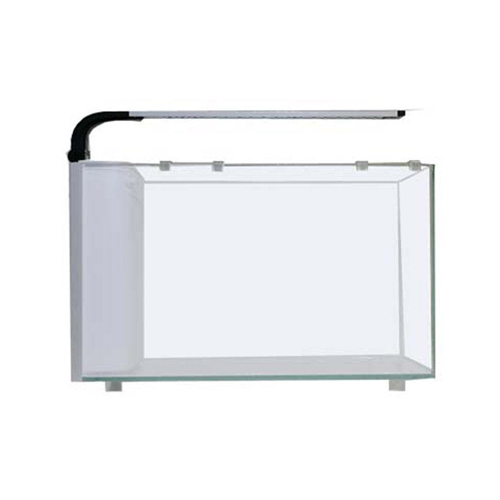 JBJ Rimless Desktop Aquarium - 6G Curved Glass Penninsula with 7W LED ...