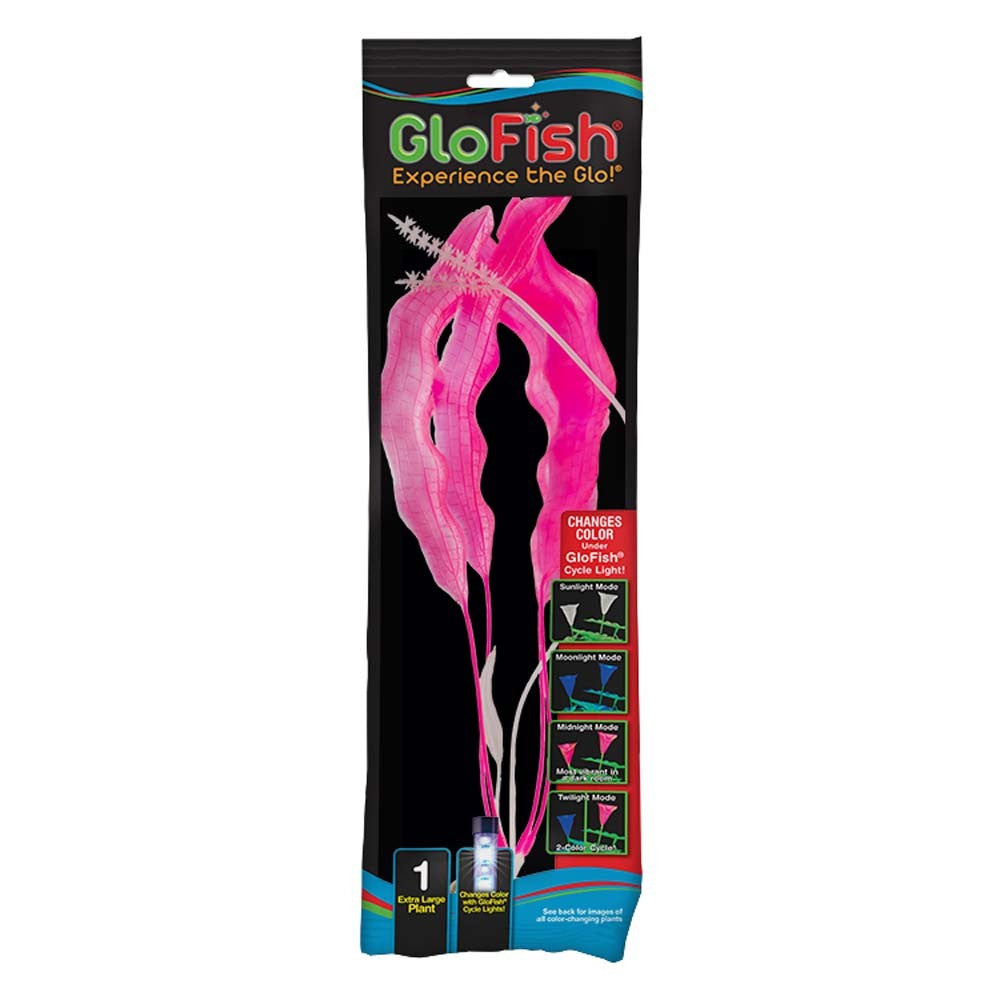 GloFish Color-Changing Pink Plant – Bay Bridge Aquarium
